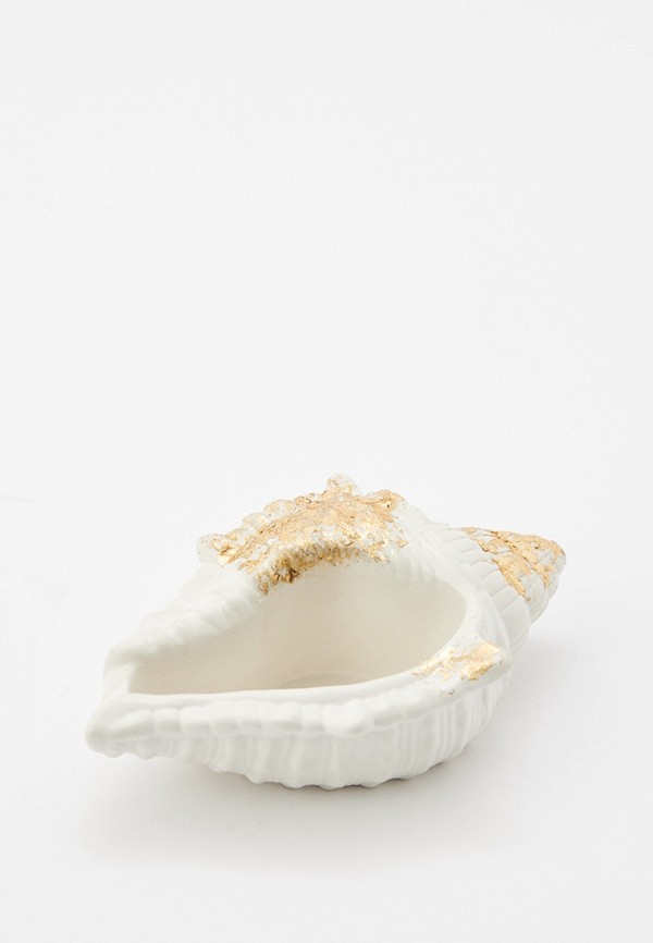 Кашпо Villermo Шкатулка ракушка биг Gold, цвет: белый, MP002XU0DEEK ...