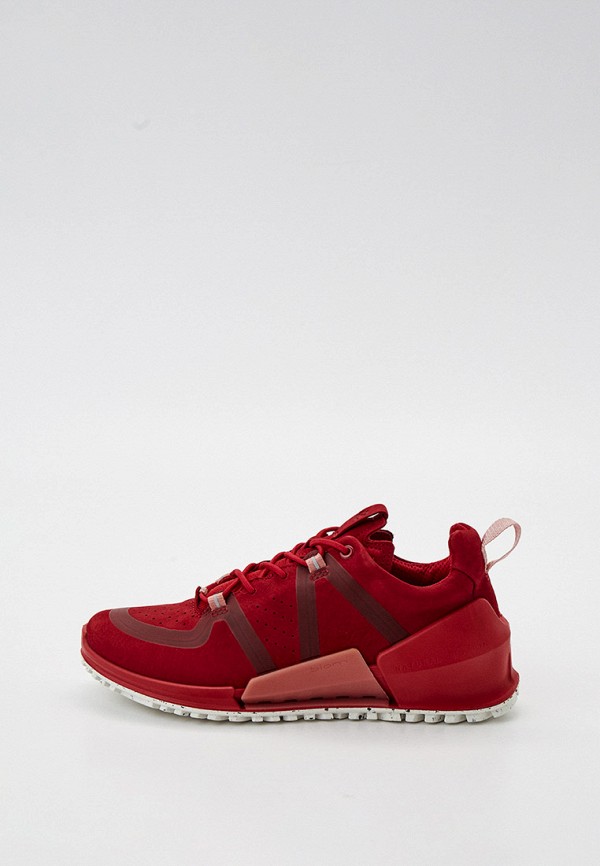 Ecco red store