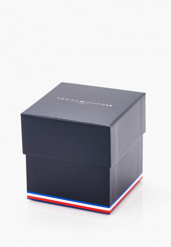 Часы Tommy Hilfiger 1710455, цвет: серебряный, RTLACG120901 — купить в ...
