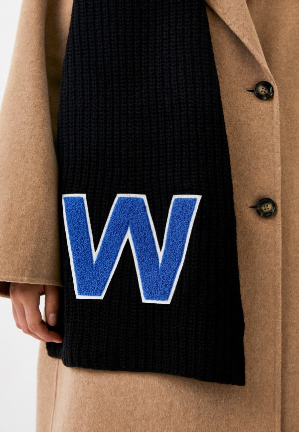 Шарф Weekend Max Mara BARDIES, цвет: черный, RTLACV343601 — купить в ...