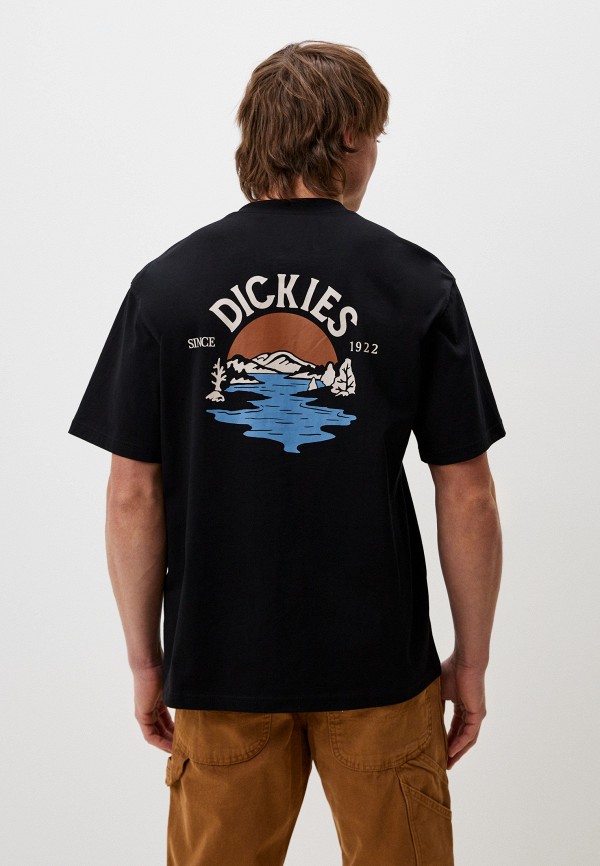 Футболка Dickies BEACH, цвет: черный, RTLADN667401 — купить в интернет ...