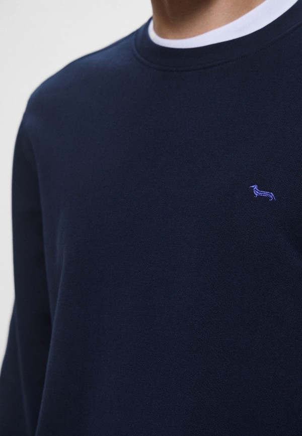 Свитшот Harmont & Blaine, цвет: синий, RTLAEG549601 — купить в интернет ...