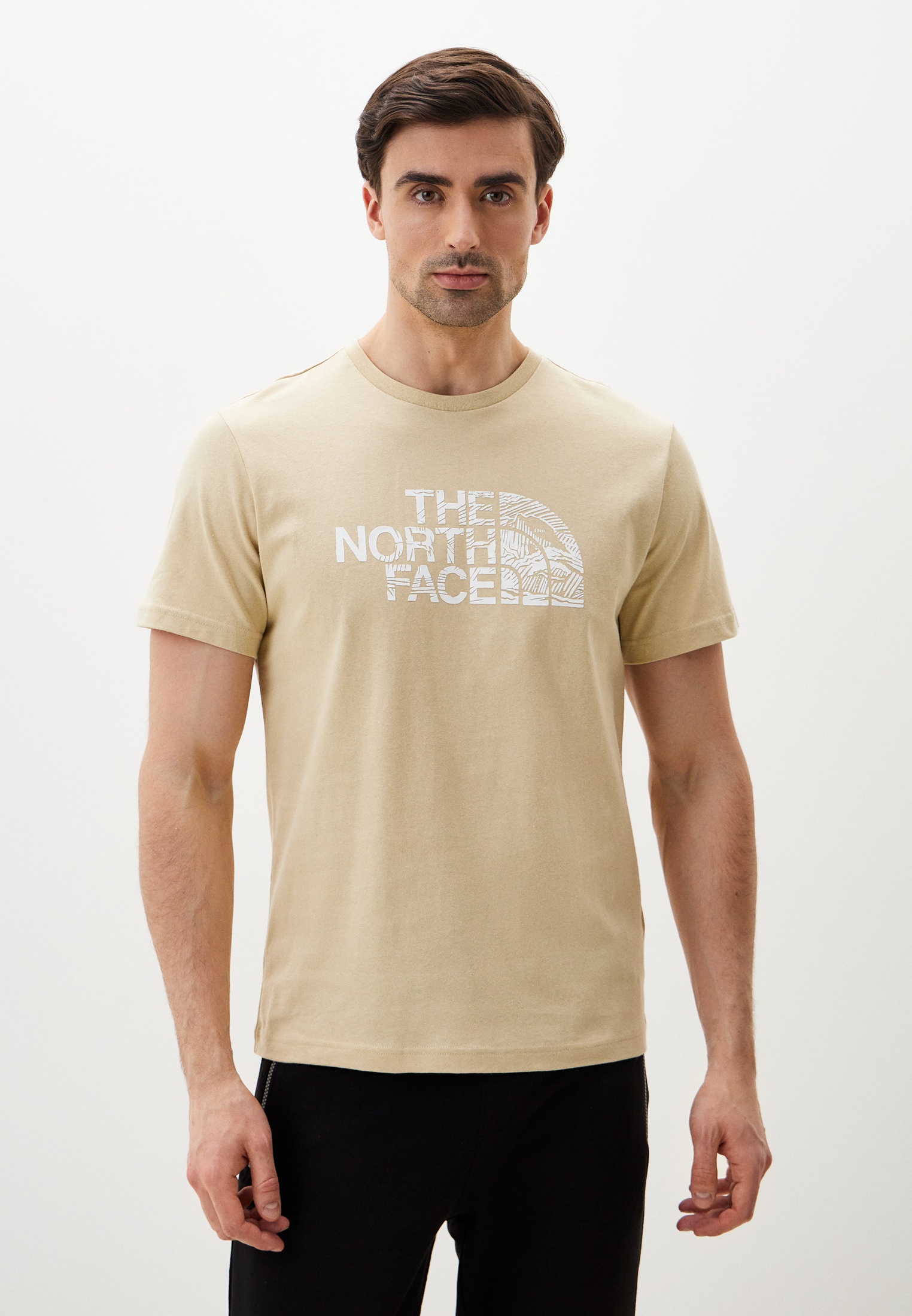 Футболка мужская The North Face (Норт Фейс) NF0A87NX купить за 3699 руб.