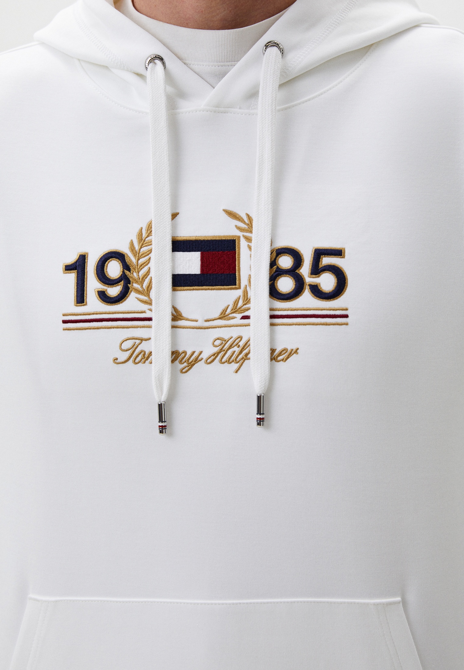 Мужские худи Tommy Hilfiger (Томми Хилфигер) MW0MW34410 купить за 9710 руб.
