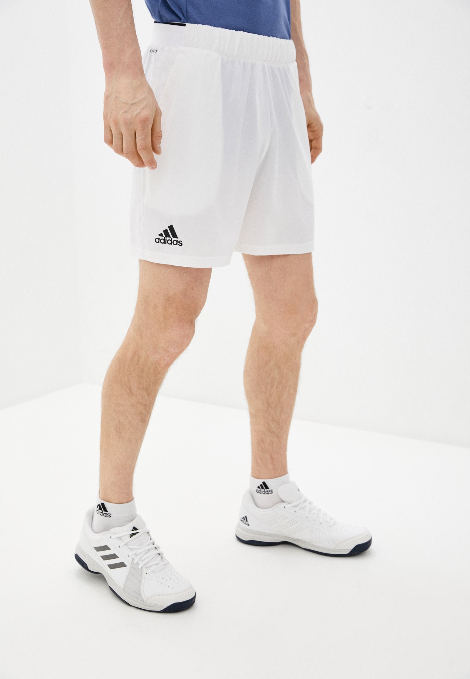Шорты спортивные adidas CLUB SW SHORT, цвет: белый, AD002EMMRTQ8 ...