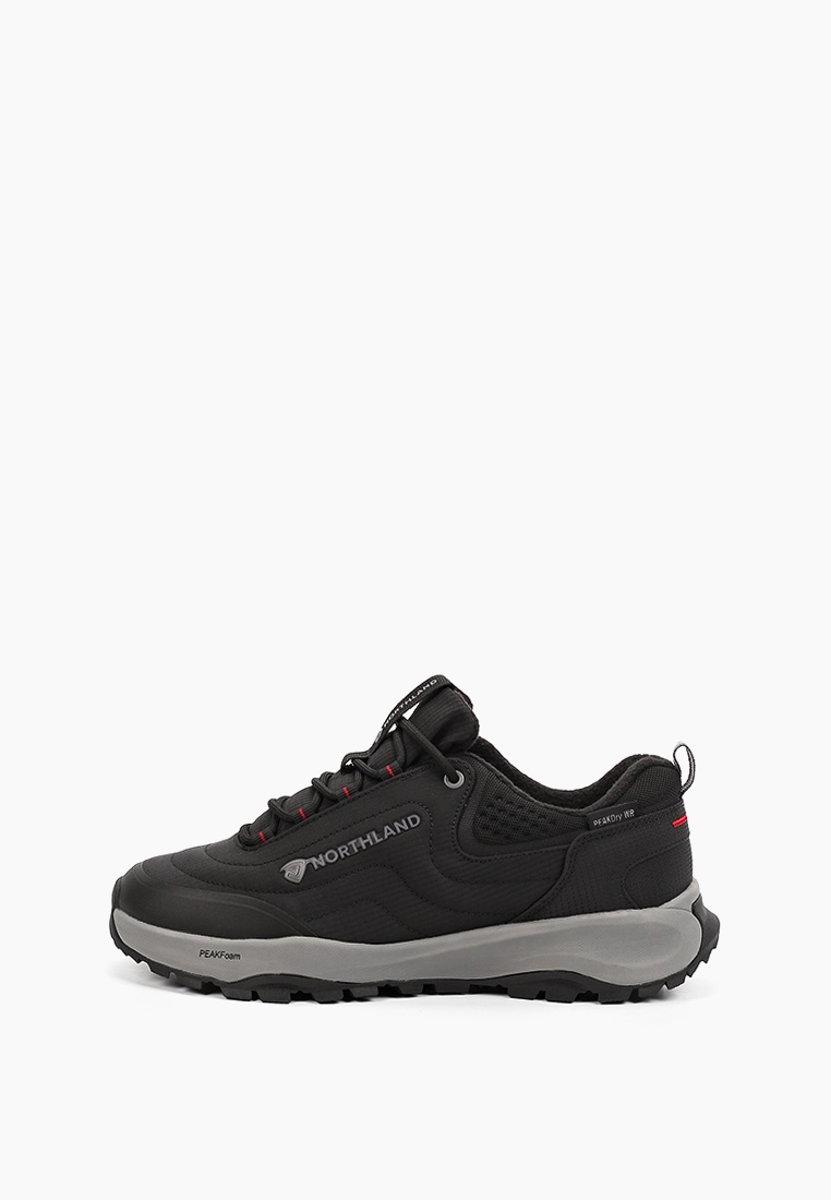 Ботинки трекинговые Northland Fels Nylon Low, цвет: черный ...