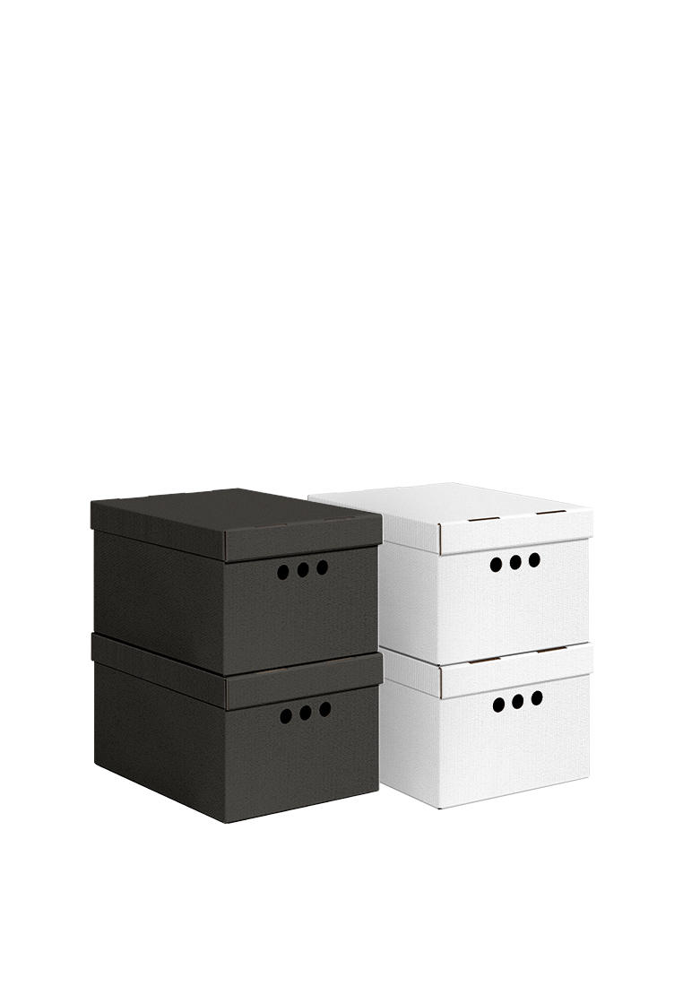 Короб для хранения Valiant 25*33*18.5 см, CLASSIC GREY, цвет: белый ...