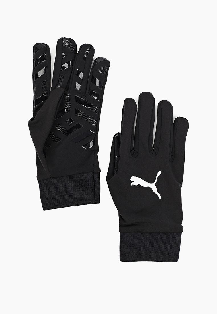 Перчатки PUMA Field Player Glove, цвет: черный, PU053DUMJFG8 — купить в ...