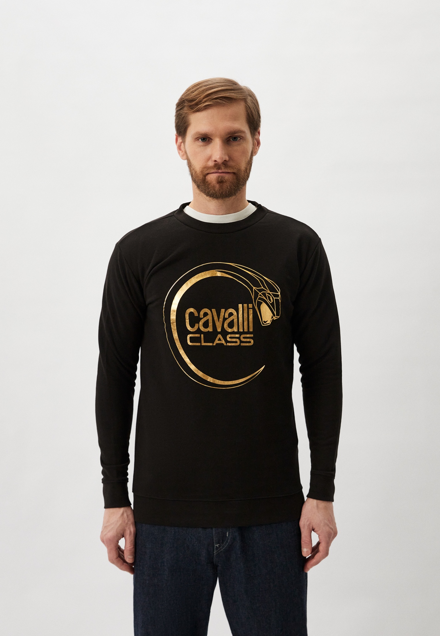 Свитшот Cavalli Class, цвет: черный, RTLADD865601 — купить в интернет ...