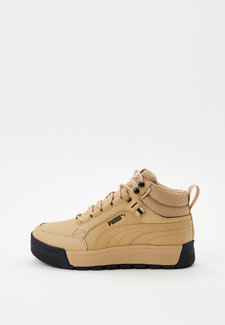 Кеды PUMA Tarrenz SB III Puretex Sand Dune-Sand Du, цвет: бежевый ...