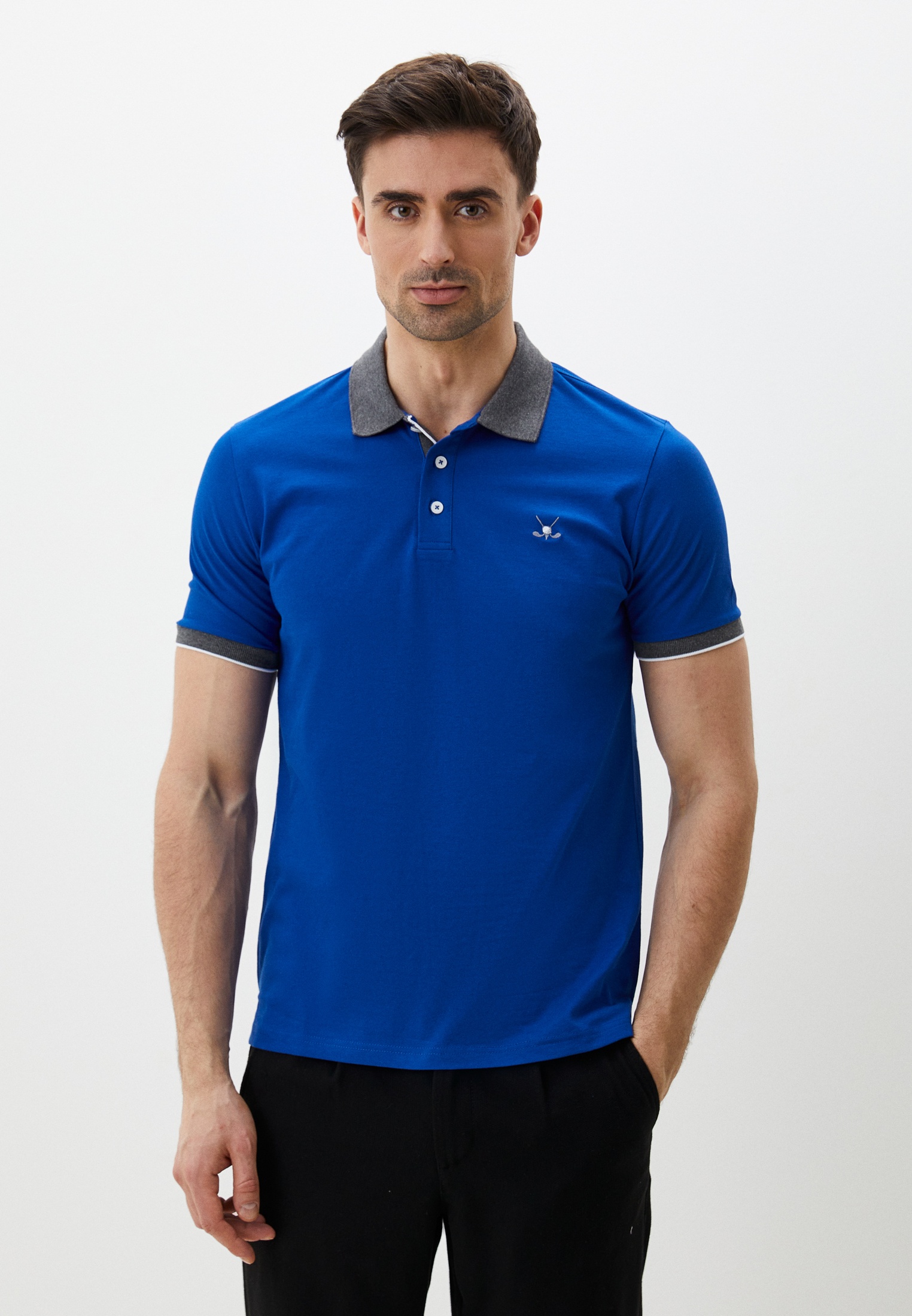 Поло Sir Raymond Tailor, цвет: синий, RTLADK918301 — купить в интернет ...