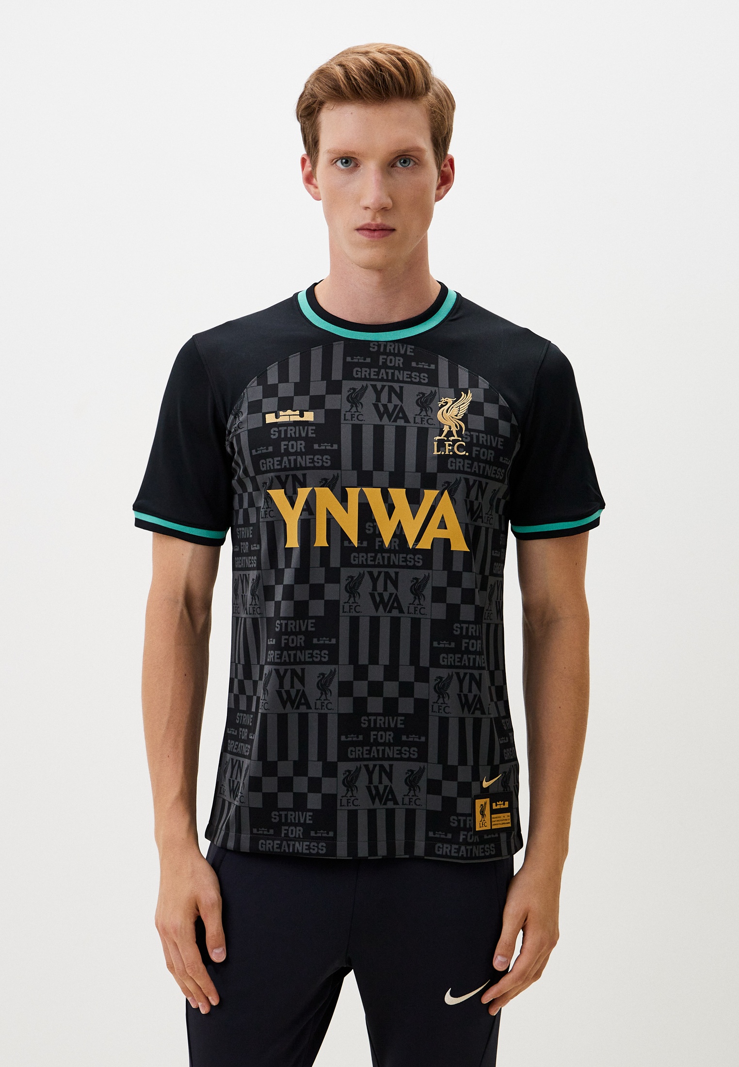 Футболка Nike LFC M NK DF STAD JSY SS LBJ, цвет: серый, RTLADP440301 ...