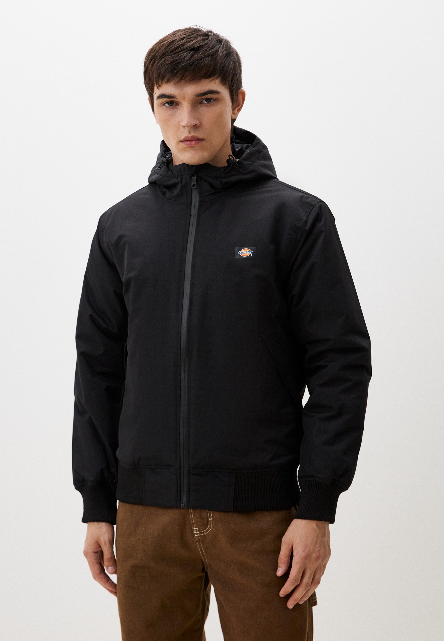 Куртка утепленная Dickies NEW SARPY, цвет: черный, RTLADS701201 ...