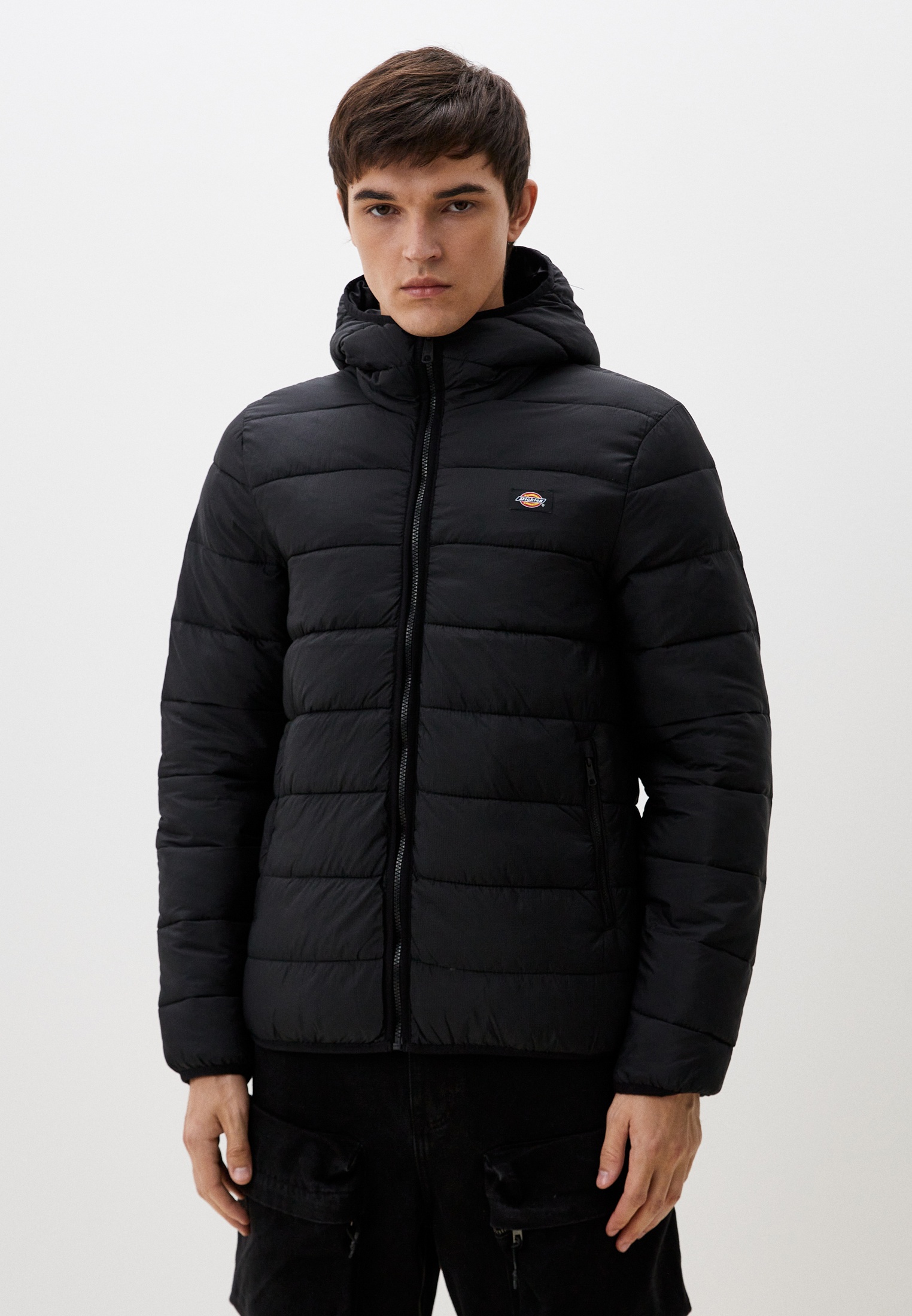 Куртка утепленная Dickies WALDENBURG, цвет: черный, RTLADS703601 ...